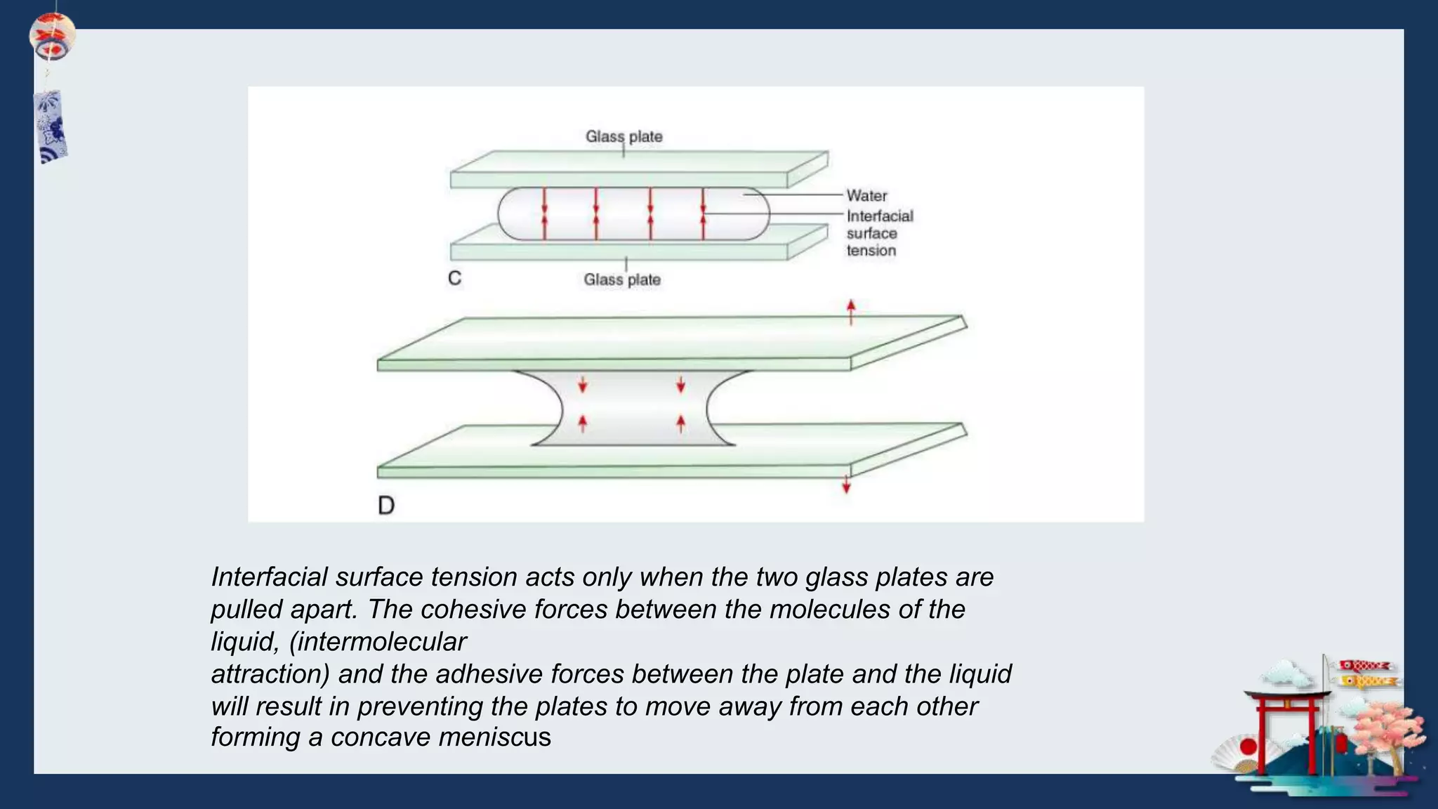 Theories, objectives and principals of impression making in complete ...