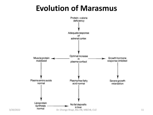 Theories of Aetiology of Malnutrition.pdf | Endocrine and Metabolic ...