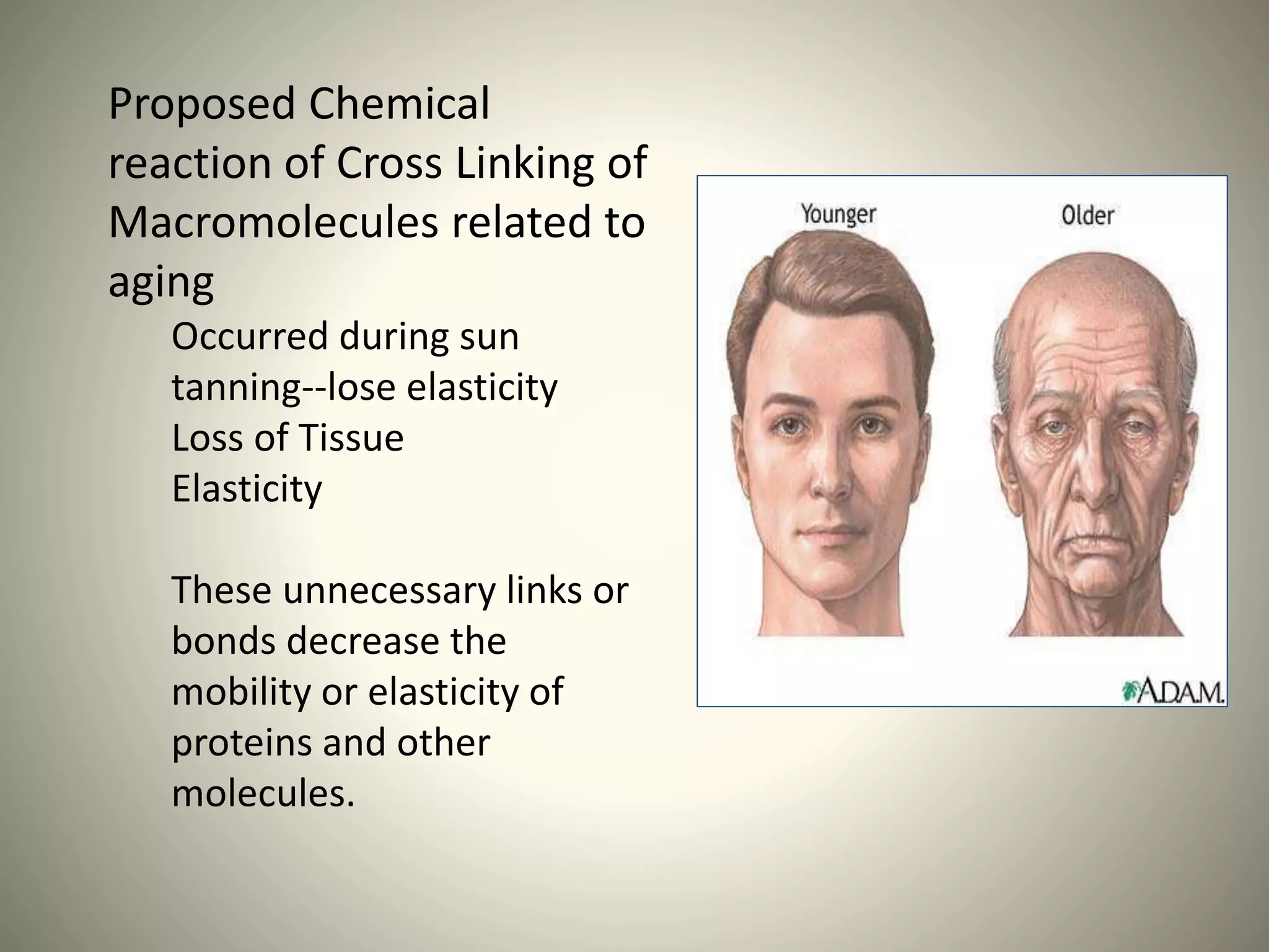Theories of aging | PPTX