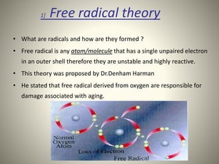 Theories of aging | PPTX