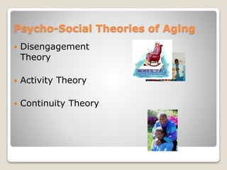 Theories of aging | PPTX