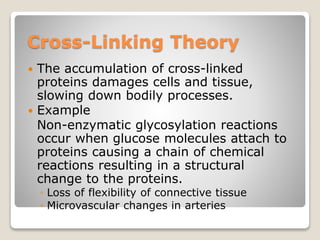 Theories of aging | PPTX
