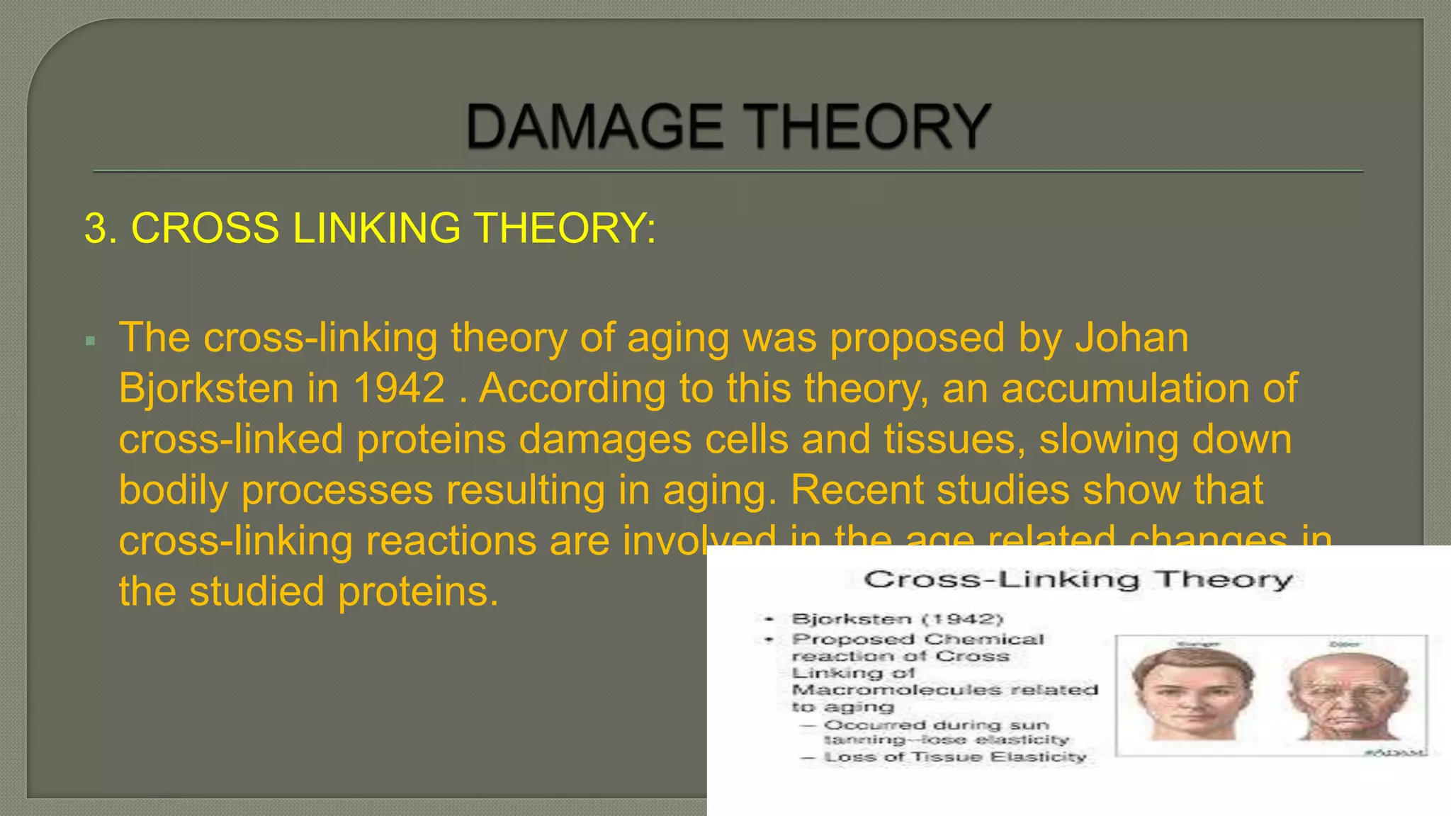 Theories of aging | PPTX