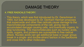 Theories of aging | PPTX