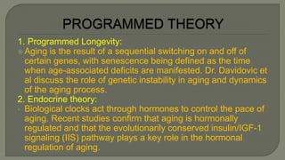 Theories of aging | PPTX