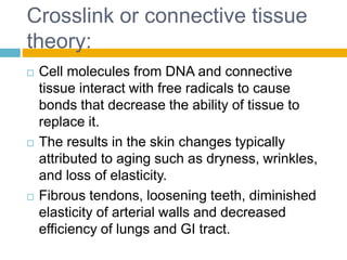 Theories of aging | PPTX