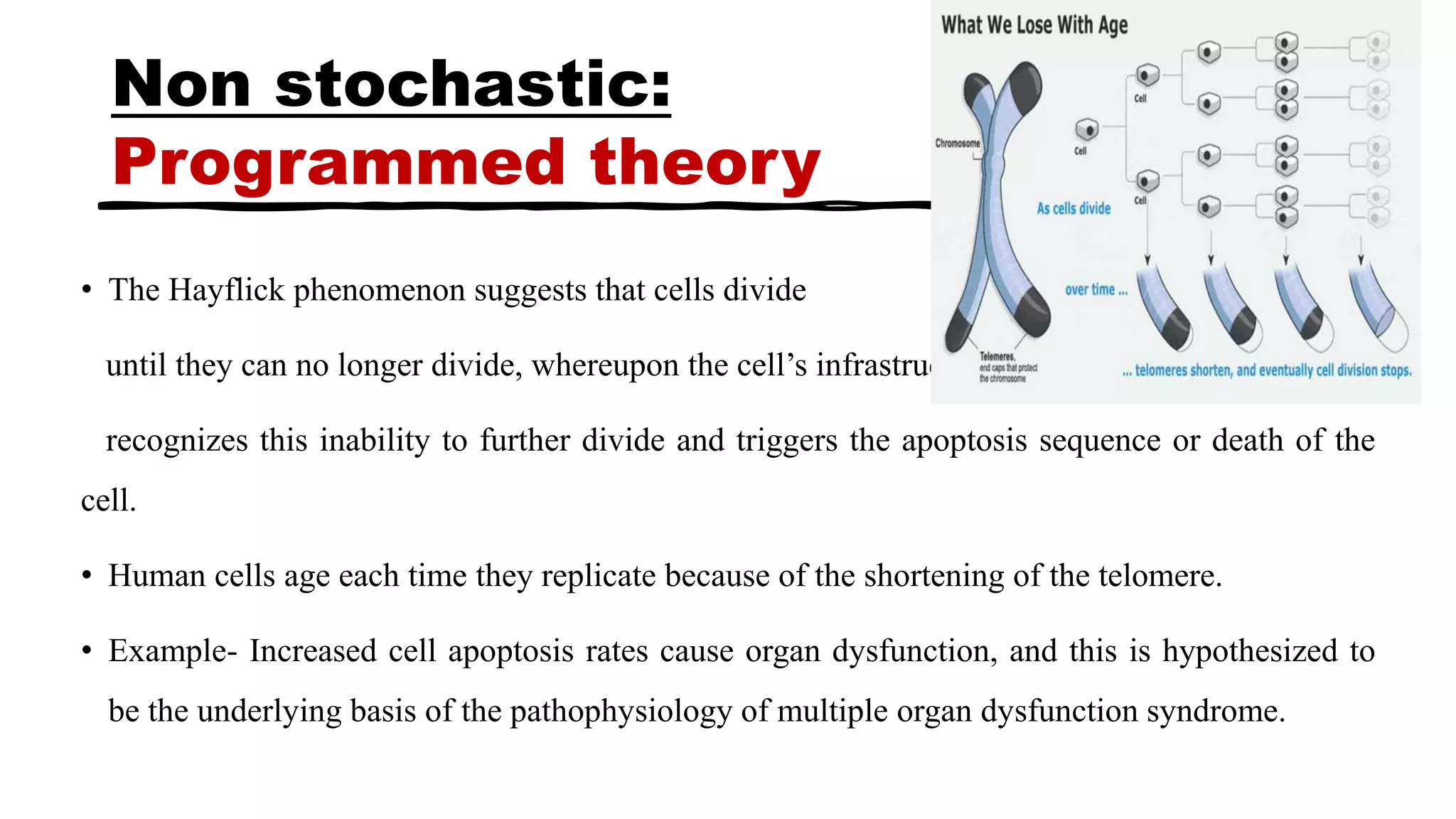 Theories of aging | PPTX