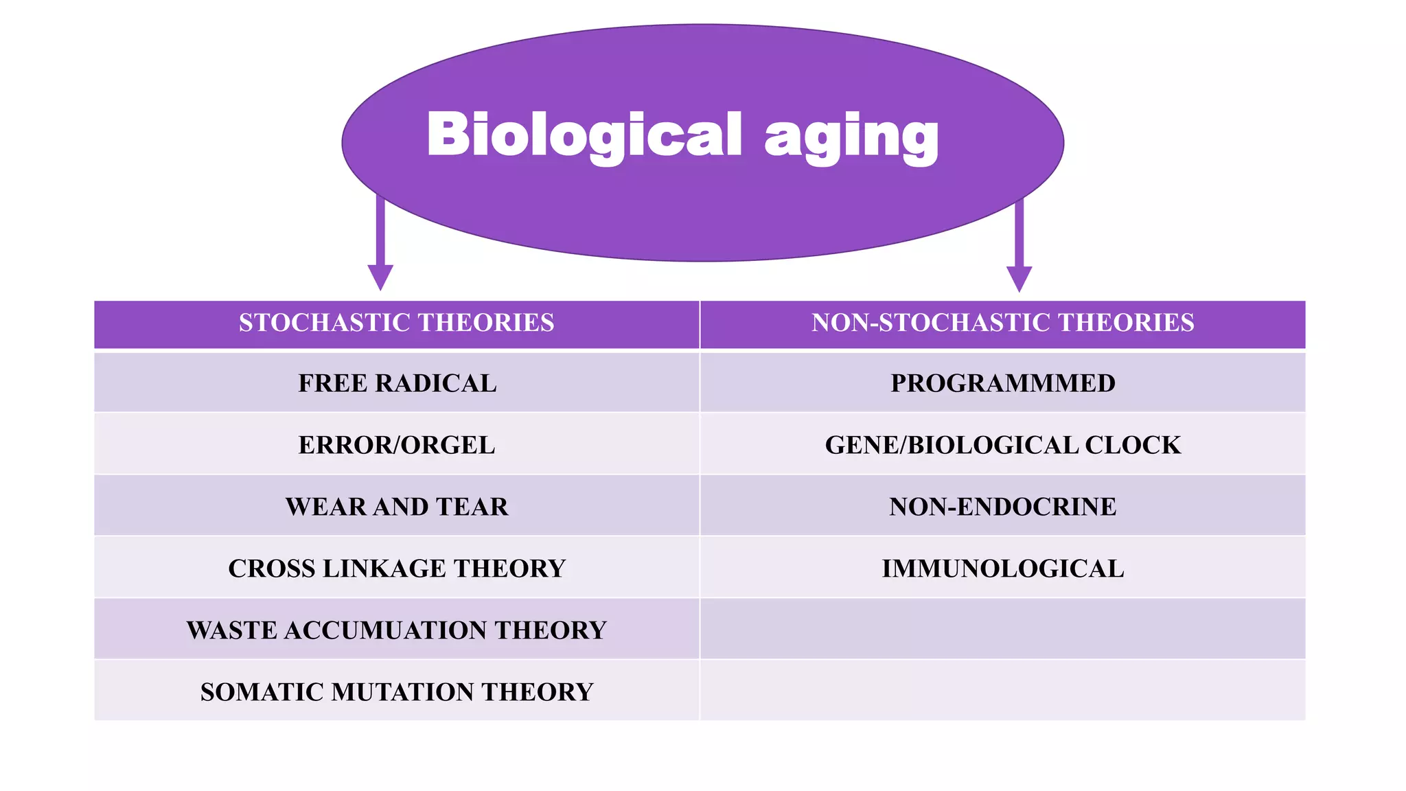 Theories Of Aging Pptx