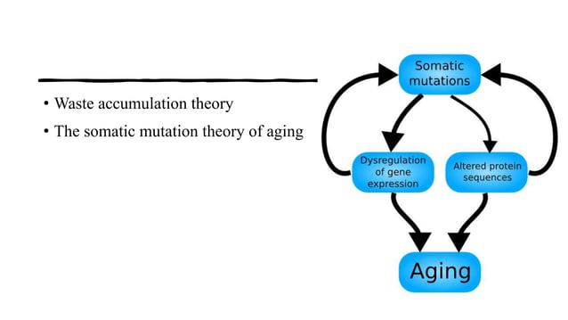 Theories of aging | PPTX