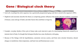 Theories of aging | PPTX