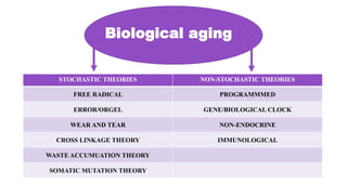 Theories of aging | PPTX