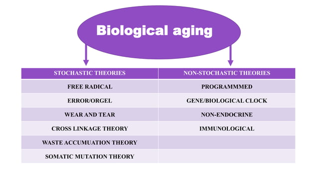 Theories of aging | PPTX