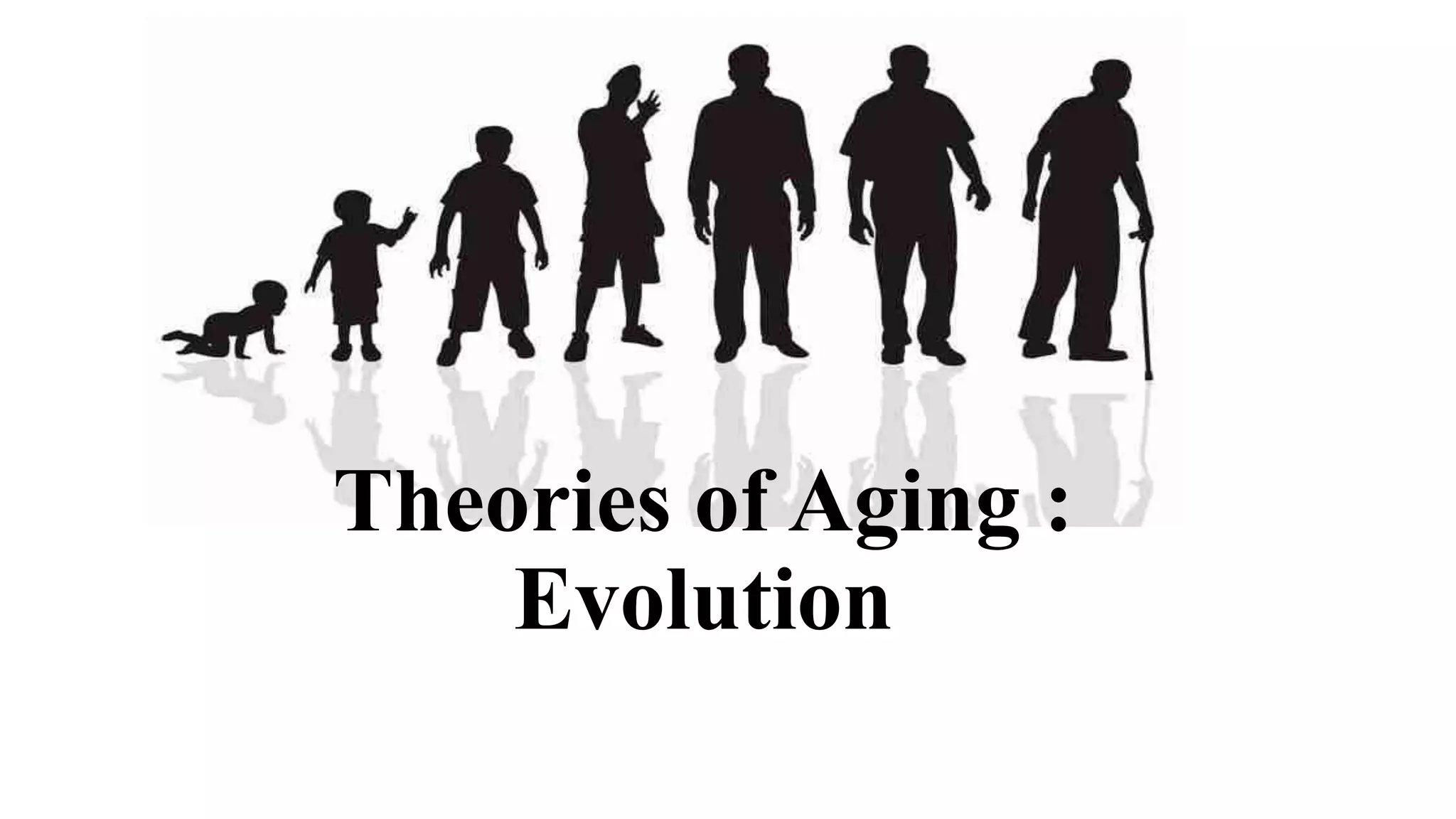 Theories of Aging.pptx