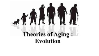 Evolutionary Theories of Aging: Constraints, Adaptation and ...