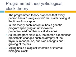 theoriesofaging..pptx