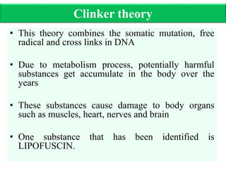 theories of aging, programmed and error theories | PPT