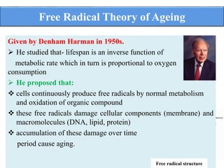 theories of aging, programmed and error theories | PPTX