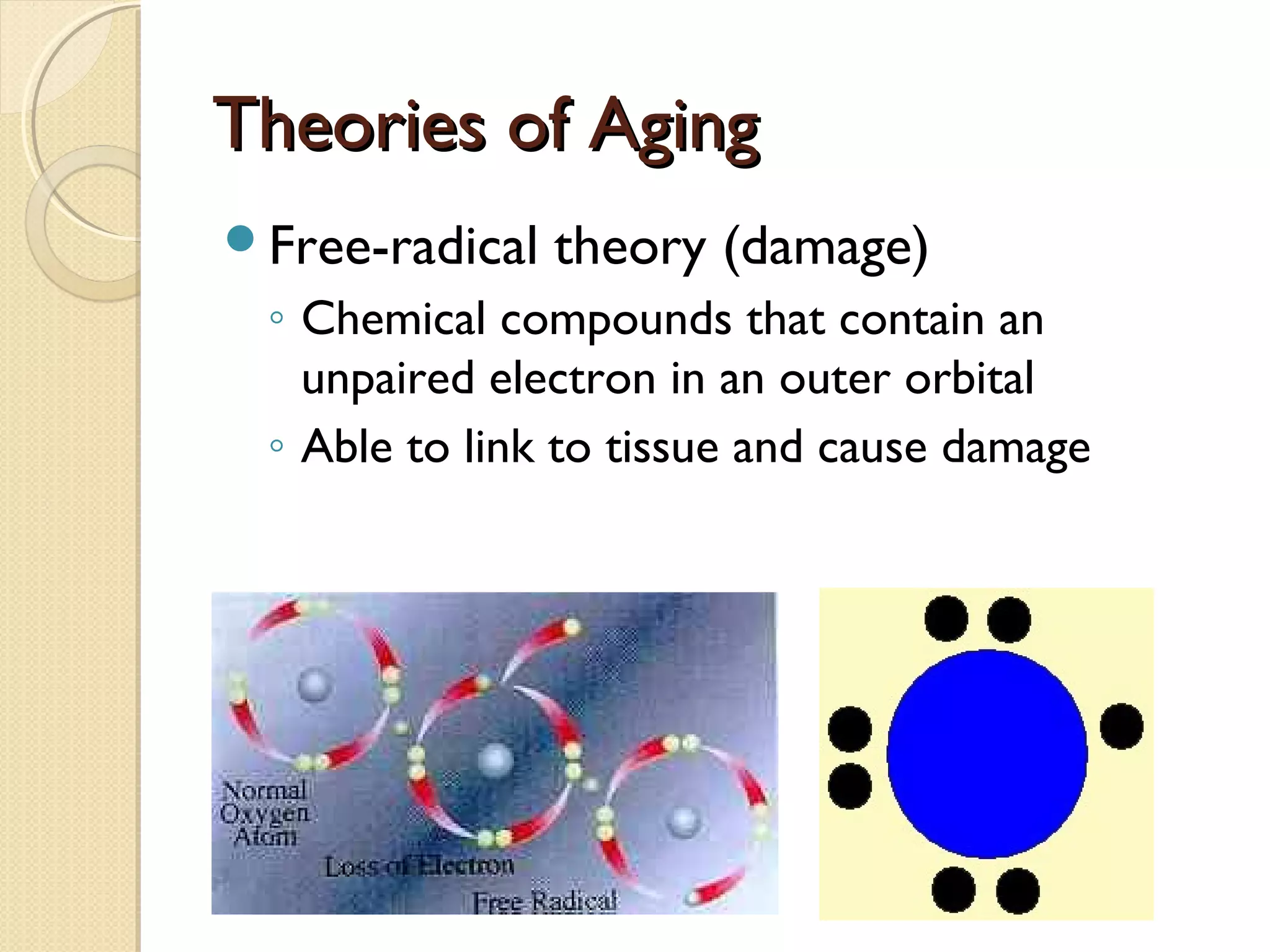 Theories of aging s14 | PPT