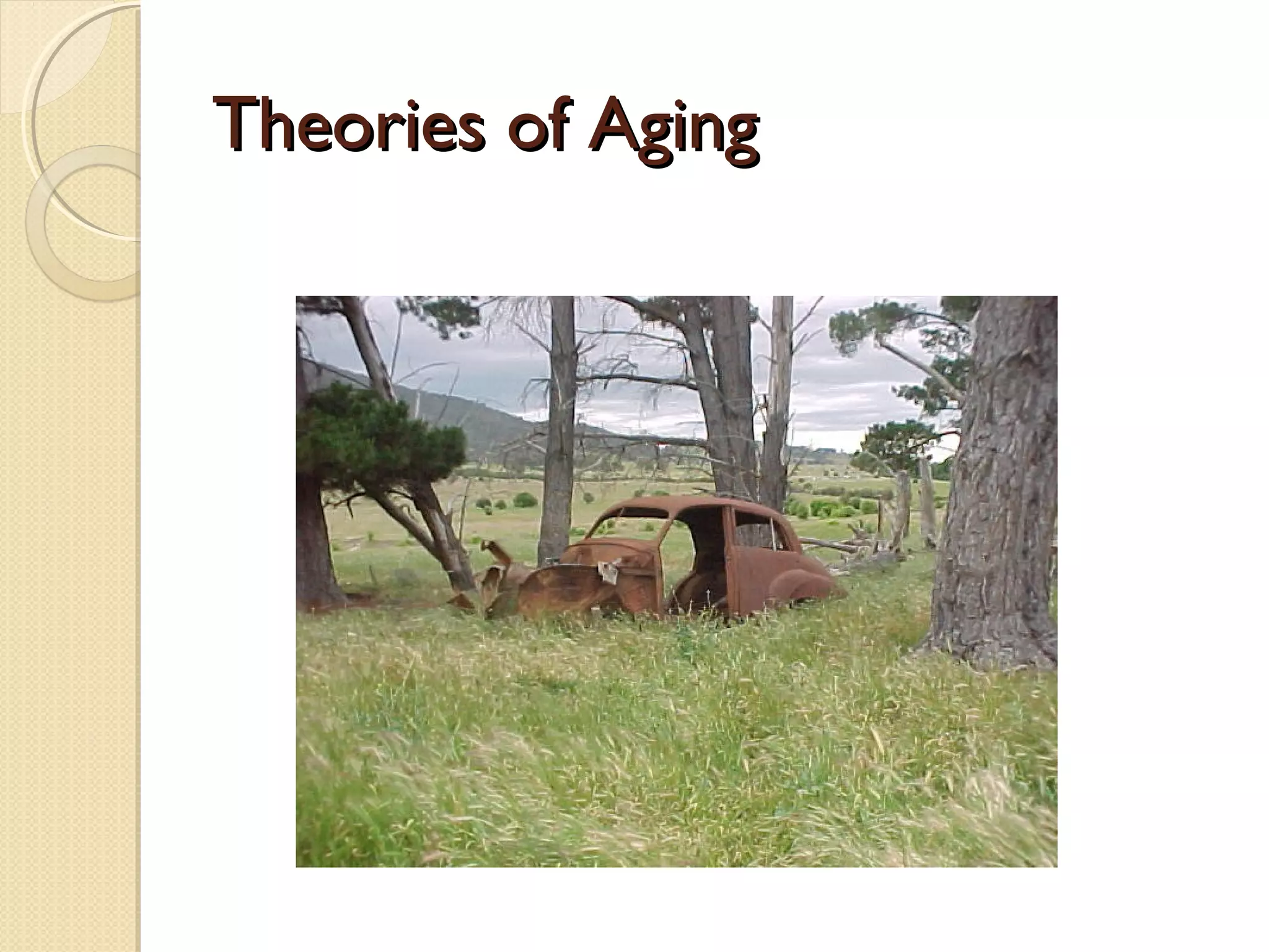 Theories of aging s14 | PPT