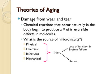 Theories of aging s14 | PPT