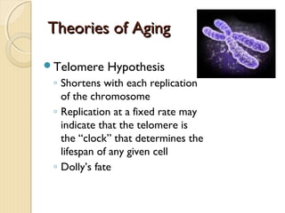 Theories of aging s14 | PPT