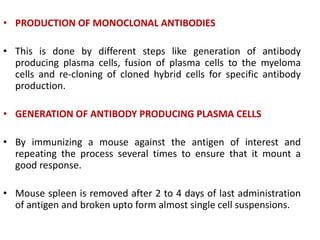 theories of antibody production.pptx