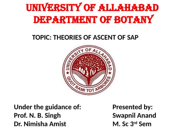 Theories of ascent of sap by swapnil anand.pptx