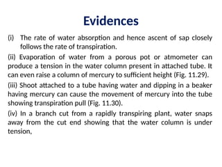 Theories of ascent of sap by swapnil anand.pptx