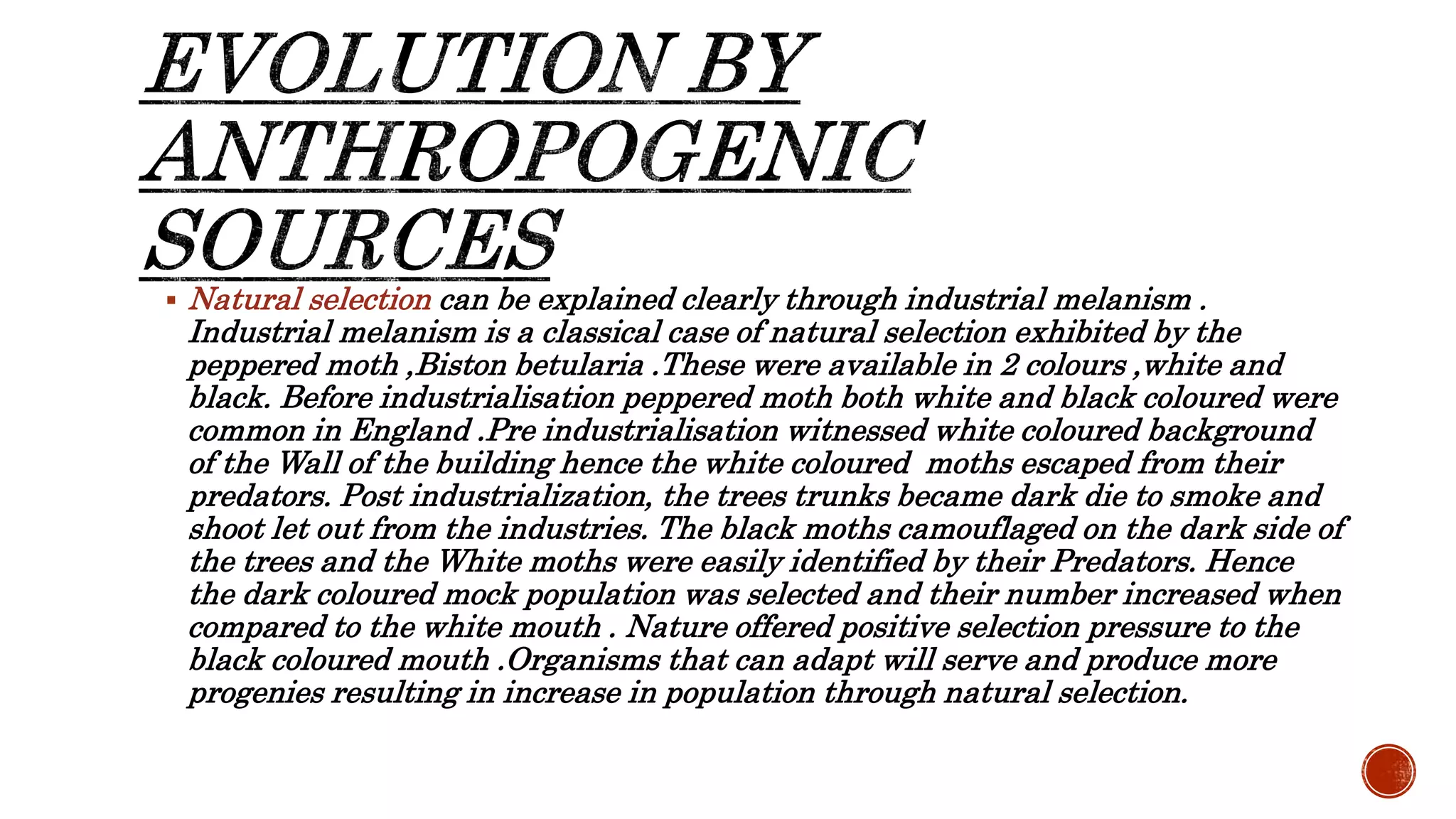 Theories Of Biological Evolution.pptx