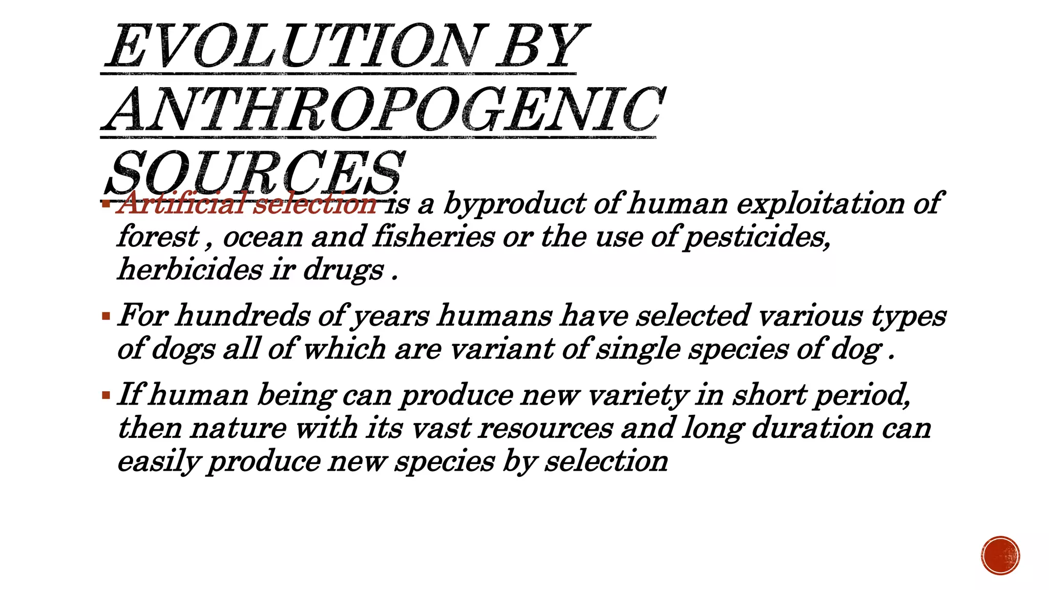 Theories Of Biological Evolution.pptx