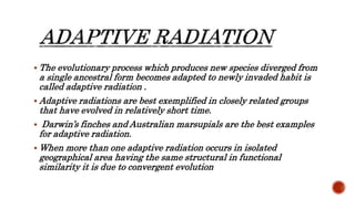 Theories Of Biological Evolution.pptx