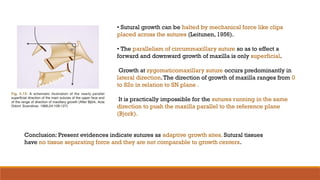 THEORIES OF BONE GROWTH AND DEVELOPEMENT.pptx