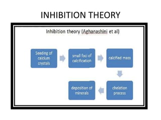 Theories of calculus formation.pptx