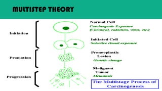 Theories of cancer causation | PDF