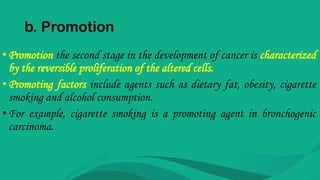 Theories of cancer causation | PDF