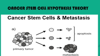 Theories of cancer causation | PDF