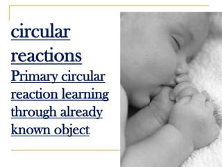 Theories of child psychology | PPTX