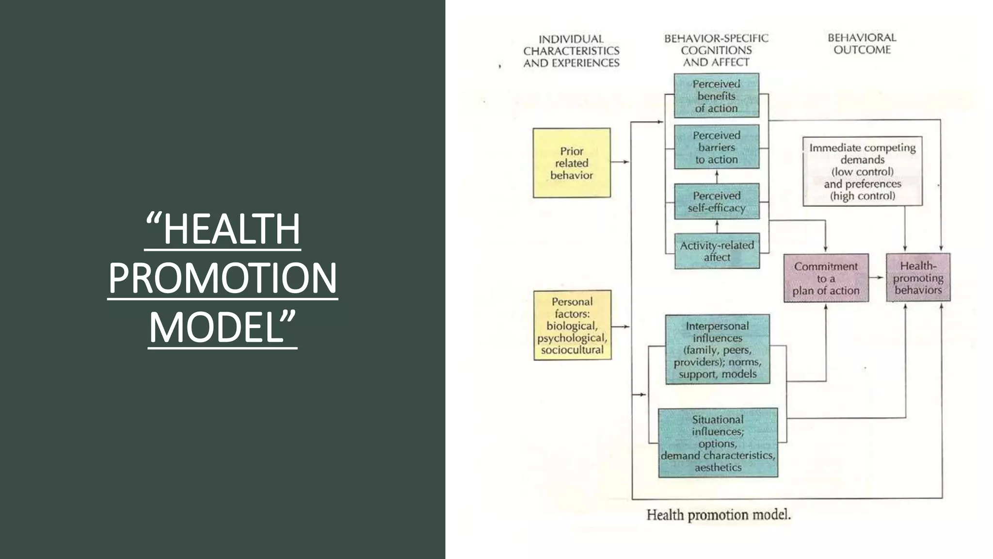 Theories related to Community Health Nursing | PPTX