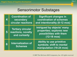 Theories of Cognitive Development.ppt