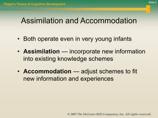 Theories of Cognitive Development.ppt