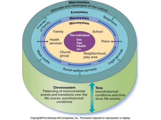 Theories of development- Life Span Development | PPTX | Science