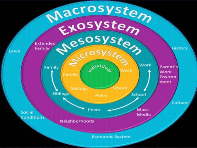 Theories of development- Life Span Development