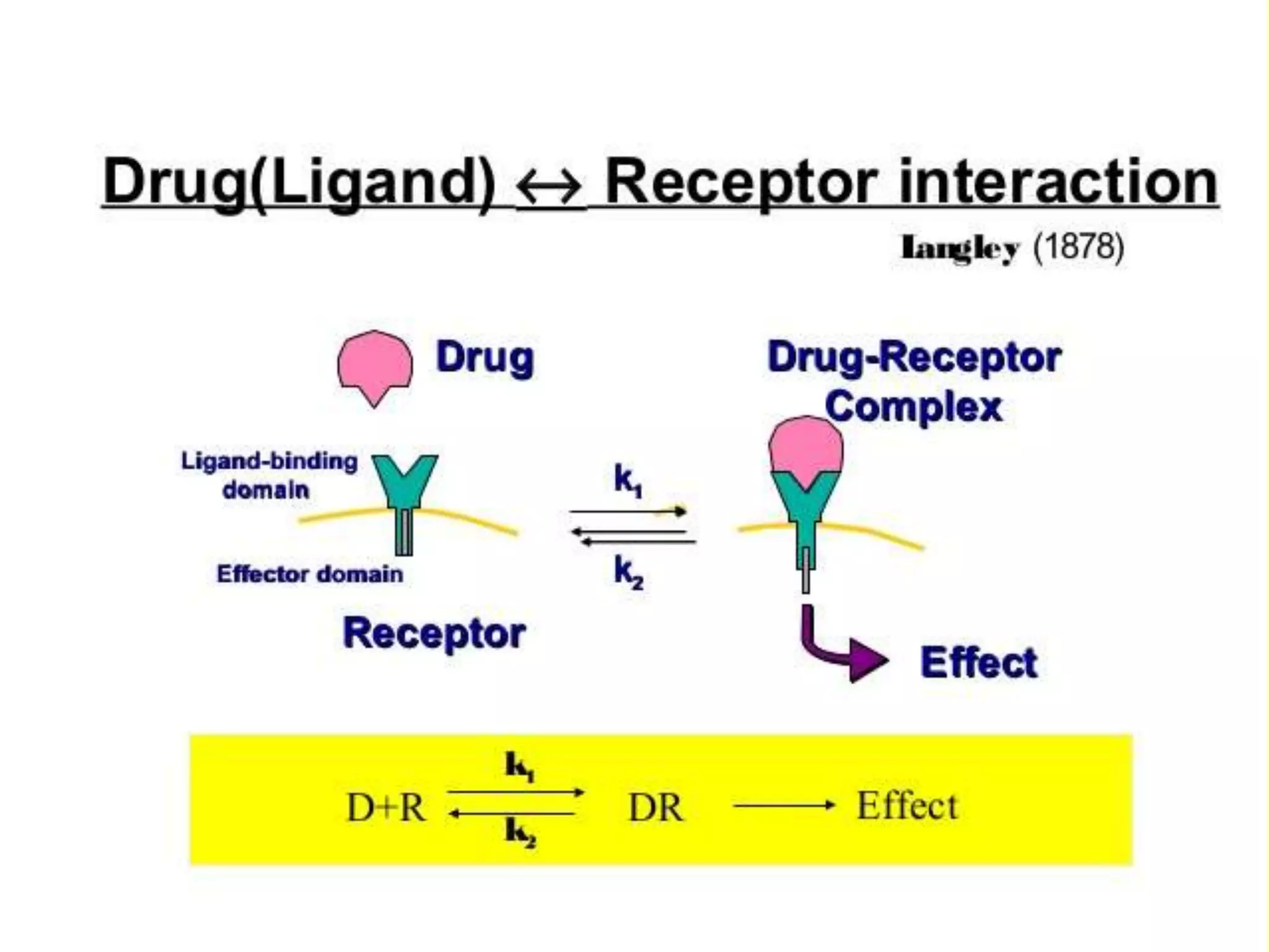 THEORIES OF DRUG RECEPTOR INTERACTION | PPTX
