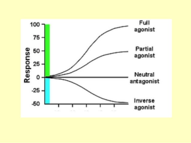 THEORIES OF DRUG RECEPTOR INTERACTION