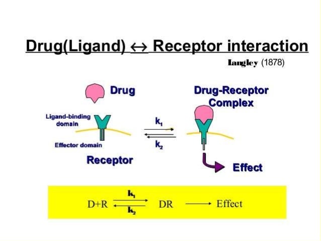 THEORIES OF DRUG RECEPTOR INTERACTION