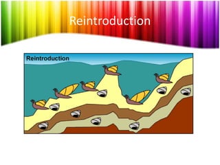 Theories of Evolution | PPTX