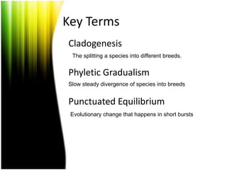Theories of Evolution | PPT