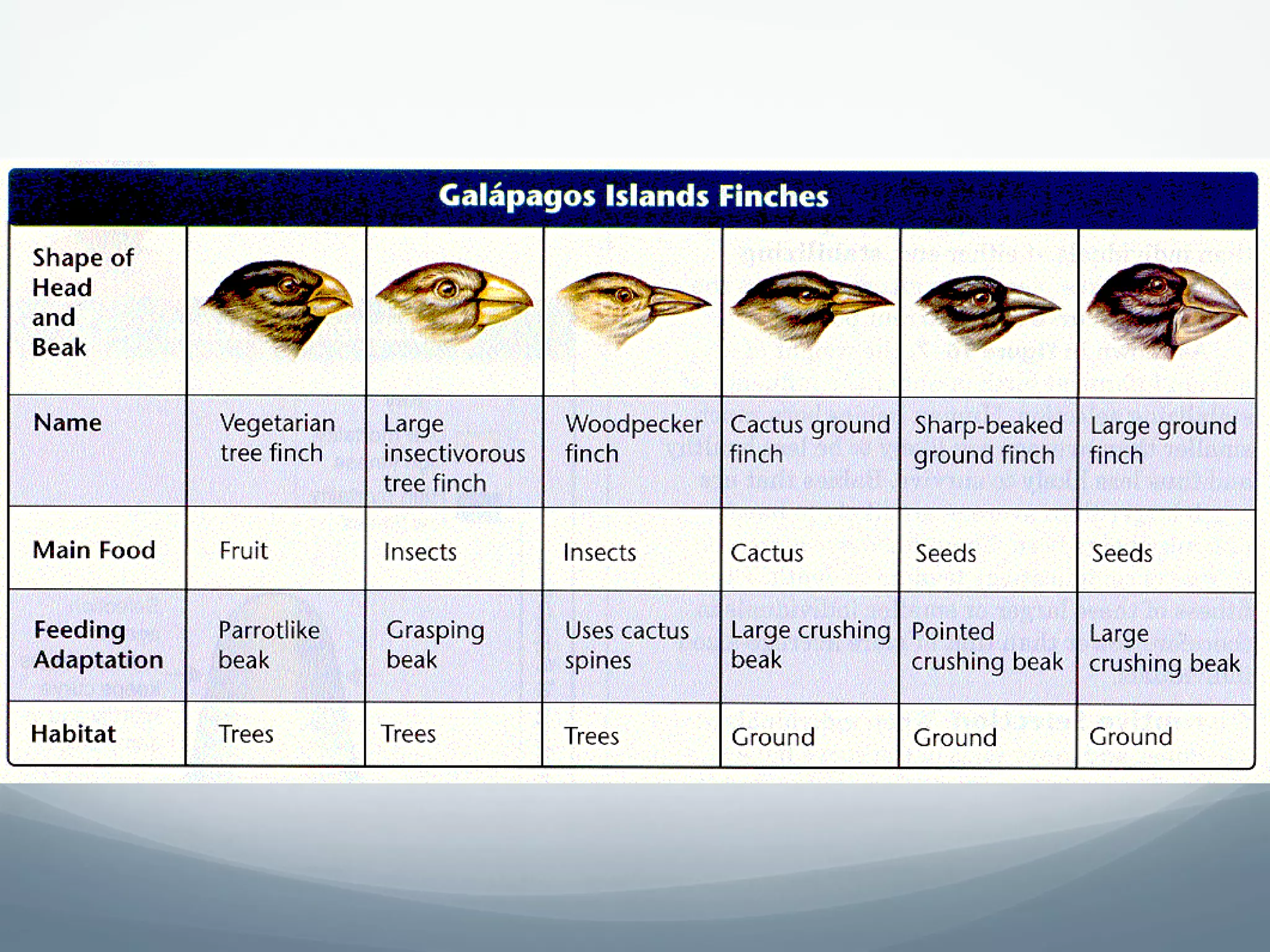 Theories of evolution | PPT