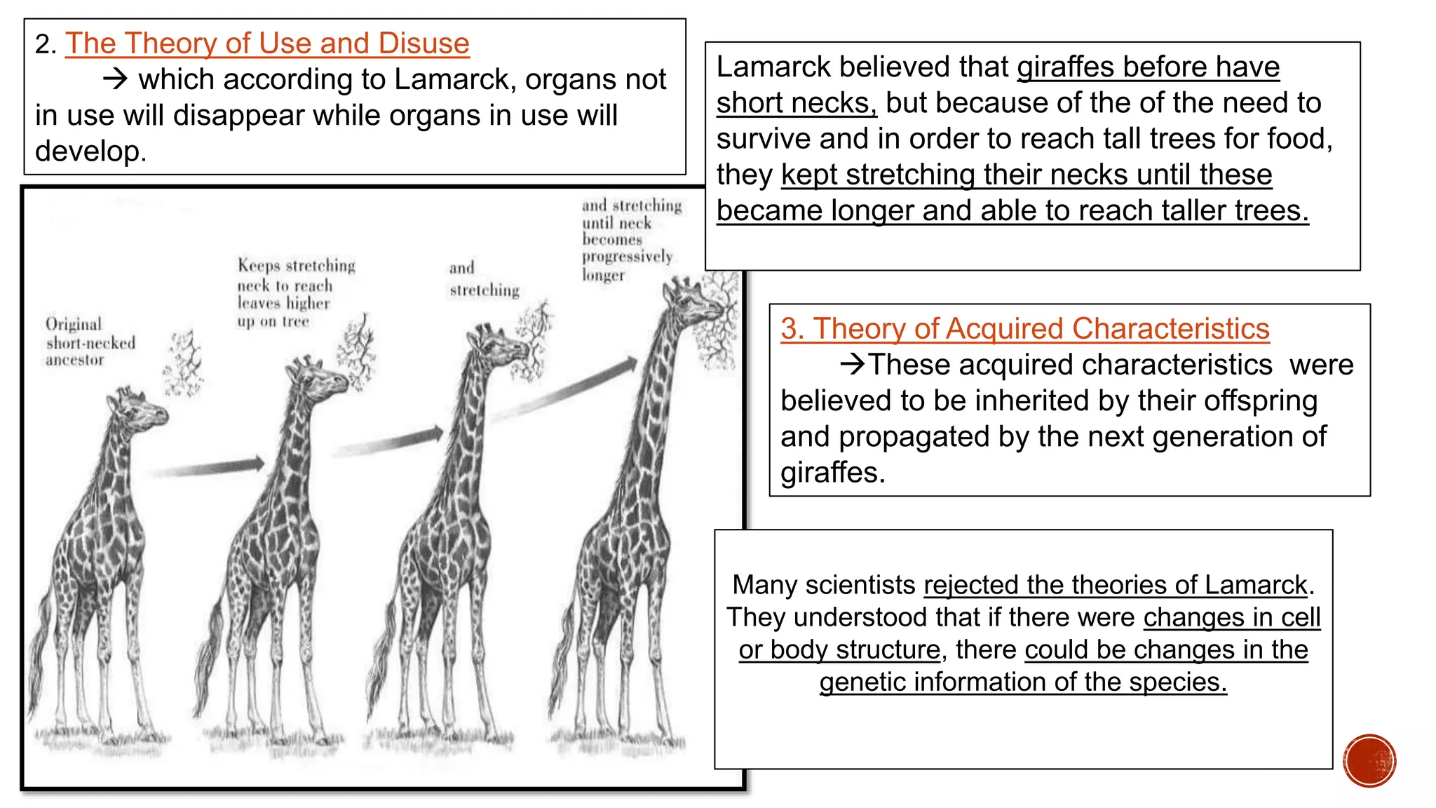 Theories of evolution | PPTX