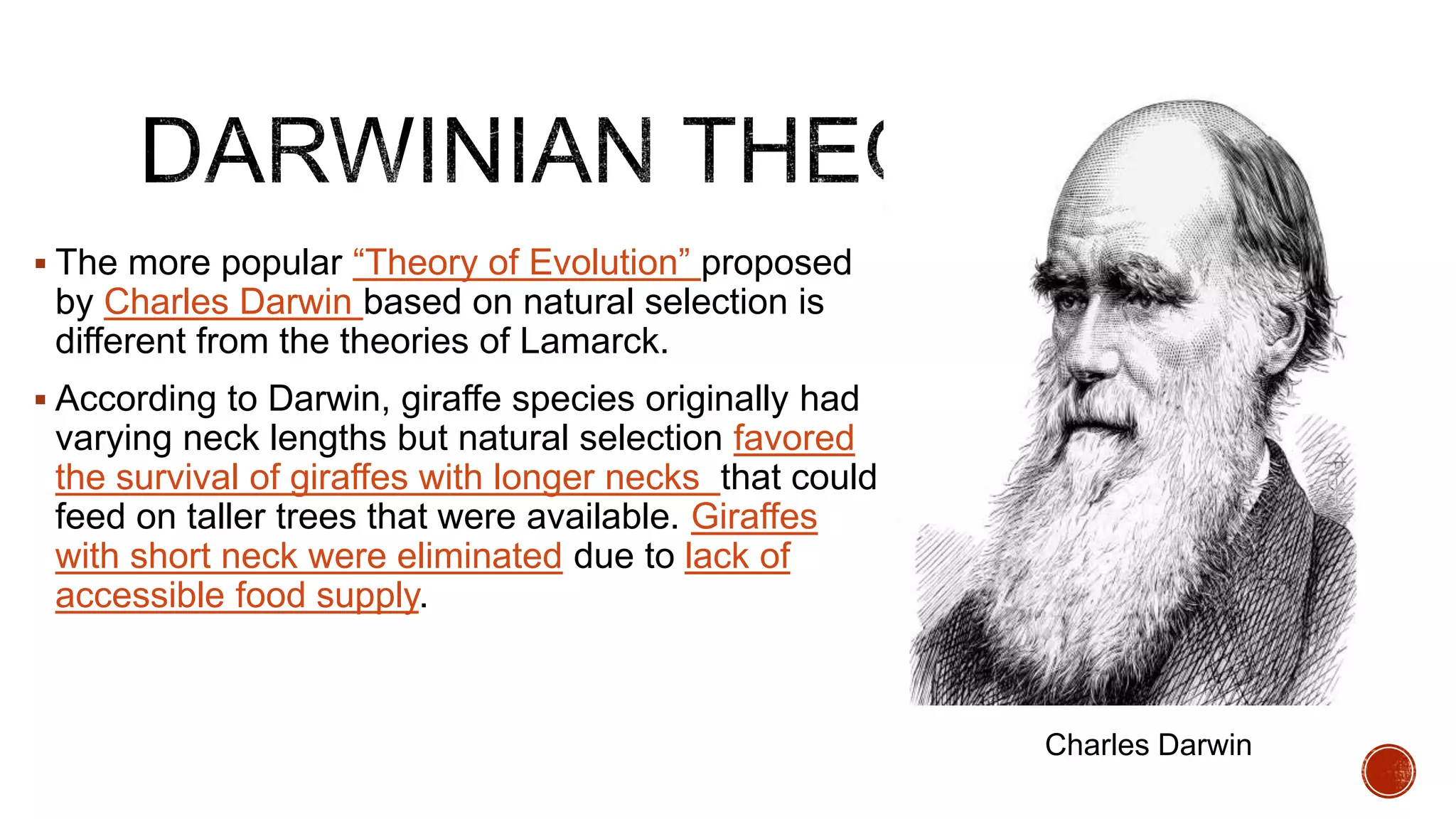 Theories of evolution | PPTX